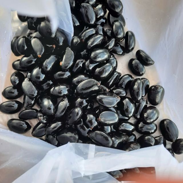 Wasagi Sakti Nusantara